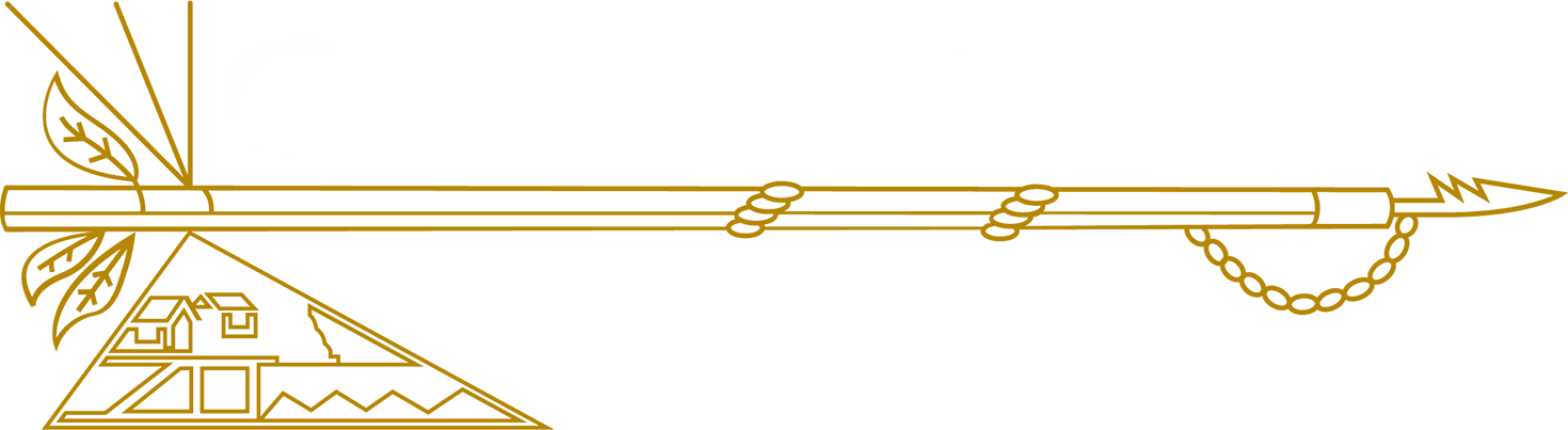 About - Chenega MIOS